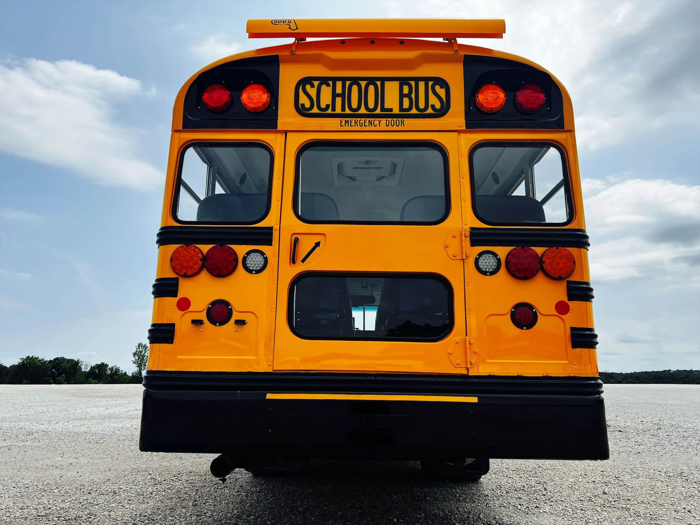 2019 Blue Bird Vision School Bus #20372 | BusesForSale