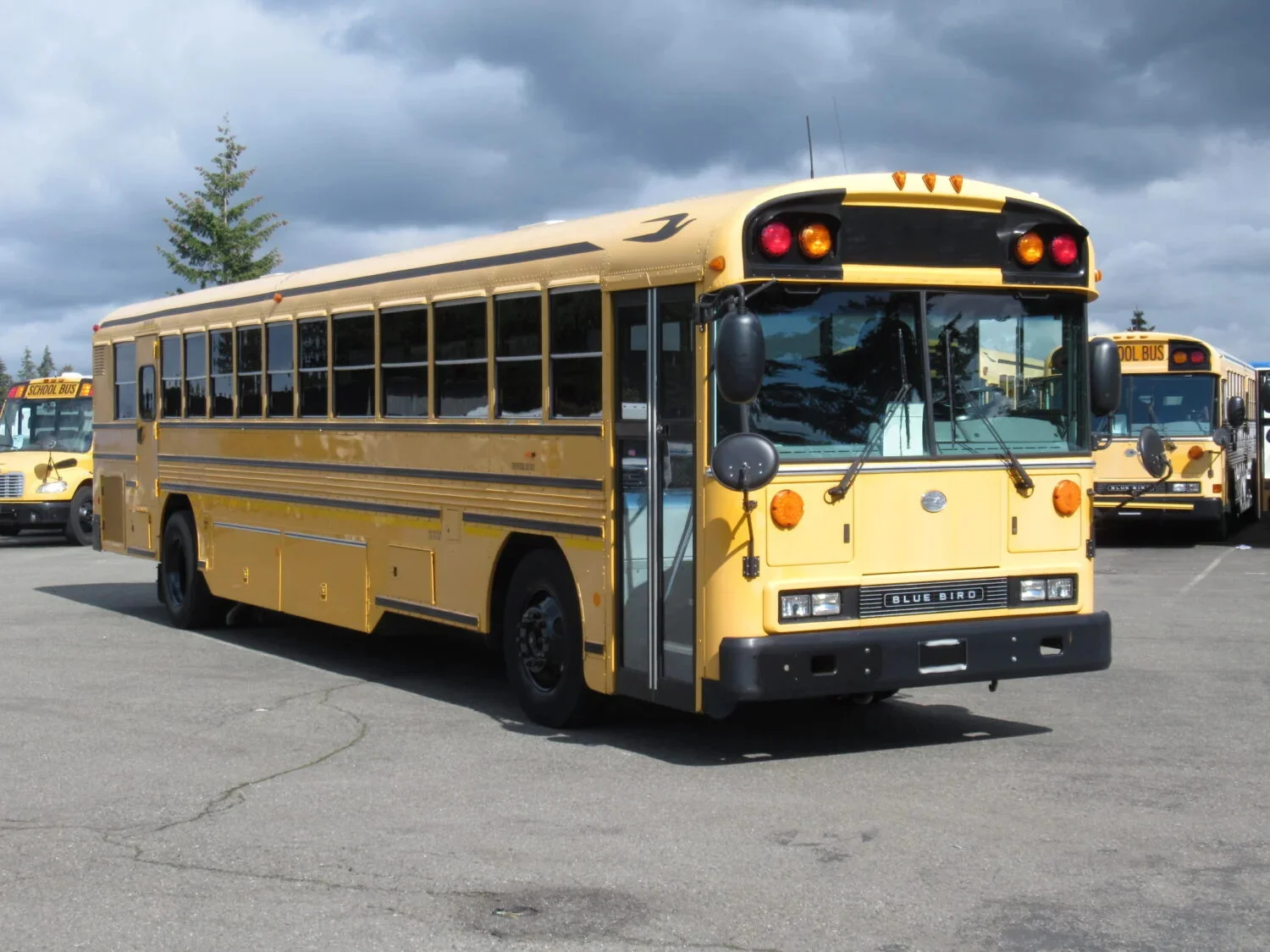 2011 Blue Bird All American School Bus #20486 | BusesForSale