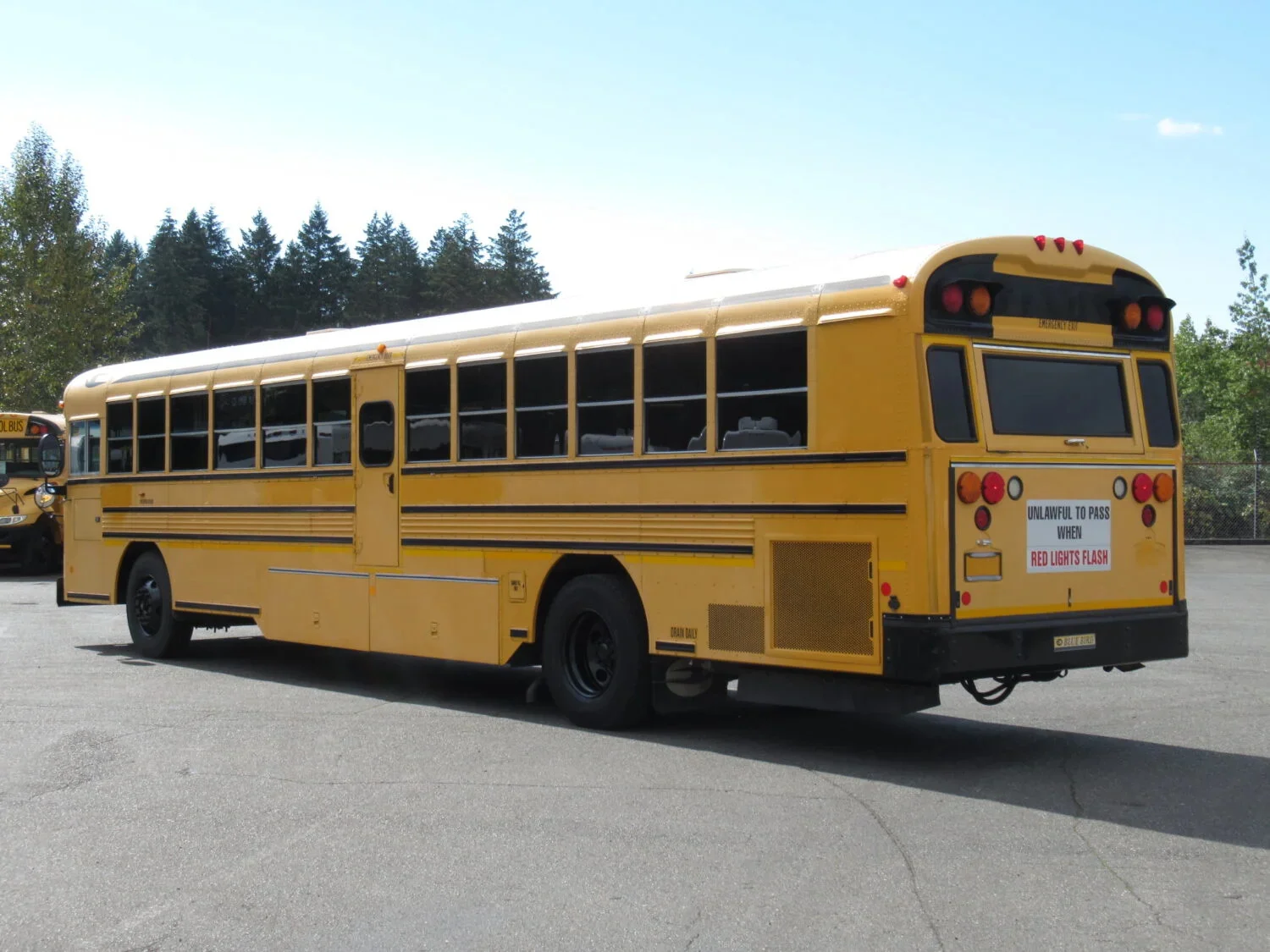 2011 Blue Bird All American School Bus #20486 | BusesForSale